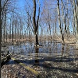 Whitmore Lake Nature Preserve Loop, Michigan - 215 Reviews, Map | AllTrails