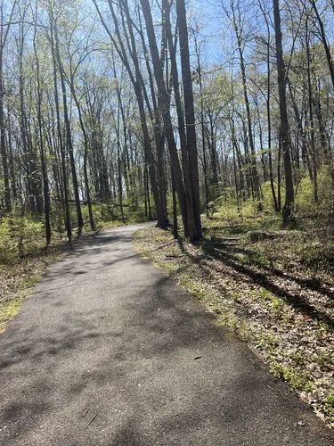 Best Hikes and Trails in Stanton Woods Park | AllTrails