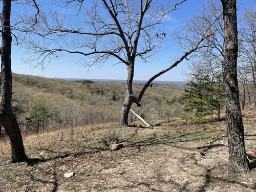 Best Hikes and Trails in Spring Creek Gap Conservation Area | AllTrails