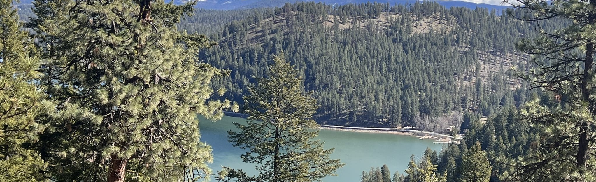 Beauty Bay Recreation Area Lookout and Loop: 67 Reviews, Map - Idaho ...