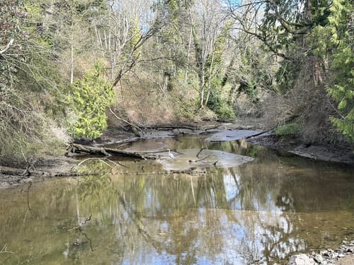 Best Hikes and Trails in Bainbridge Island City Park | AllTrails