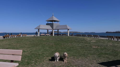 Best Hikes and Trails in Old Harbor Reservation | AllTrails
