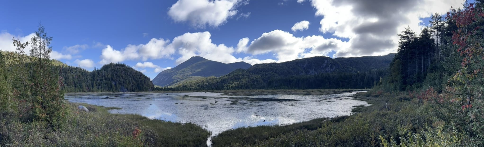 Marcy, Skylight, Redfield and Cliff via Calamity Brook Trail: 39 ...