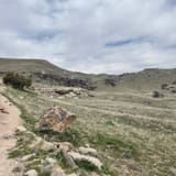 Trail Through Time, Colorado - 292 Reviews, Map | AllTrails