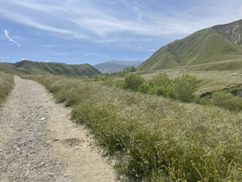 Best Hikes and Trails in Wind Wolves Preserve | AllTrails