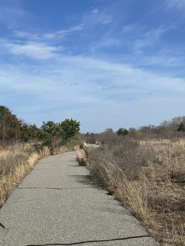Best Hikes and Trails in East Beach State Beach | AllTrails