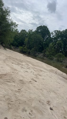 Best Hikes and Trails in Comite River Park | AllTrails