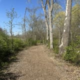 Deer Ridge Park 4K Loop, Missouri - 121 Reviews, Map | AllTrails