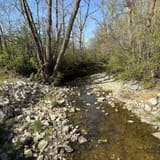 Deer Ridge Park 4K Loop, Missouri - 121 Reviews, Map | AllTrails