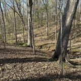 Deer Ridge Park 4K Loop, Missouri - 121 Reviews, Map | AllTrails