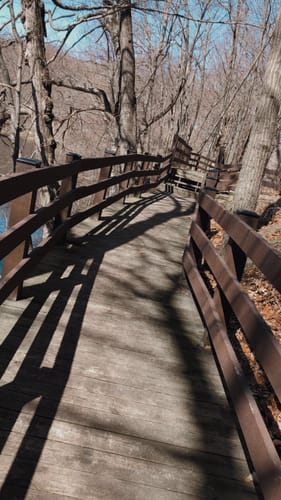 Best Hikes and Trails in Burchfield Park | AllTrails