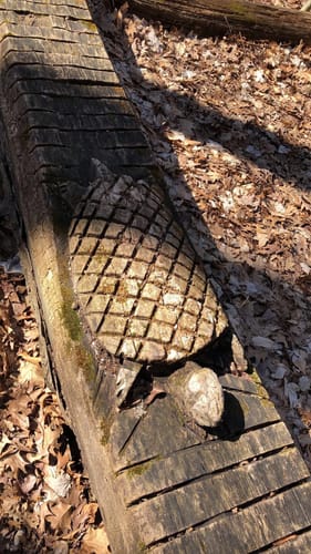 Best Hikes and Trails in Burchfield Park | AllTrails