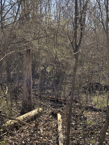 Best Hikes and Trails in Burchfield Park | AllTrails