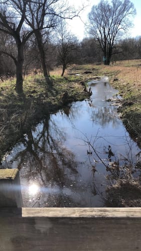 Best Hikes and Trails in Burchfield Park | AllTrails