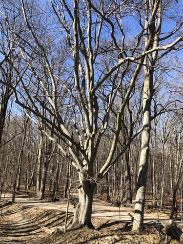 Best Hikes and Trails in Burchfield Park | AllTrails