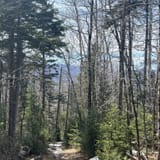 Cherry Mountain Trail, New Hampshire - 330 Reviews, Map | AllTrails