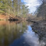 Carbuncle Pond and Moosup River Trail, Rhode Island - 261 Reviews, Map ...