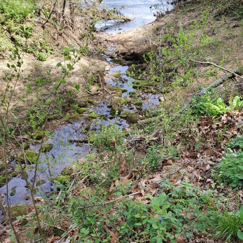 2023 Best trails in Fredericksburg Quarry | AllTrails