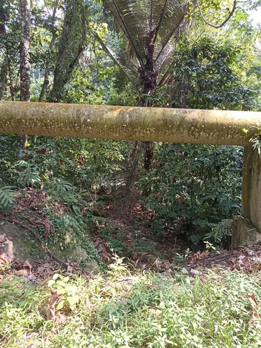 Best Hikes and Trails in Pusat Taman Laut Tioman | AllTrails