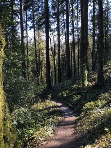 10 Best Walking Trails in Portland | AllTrails