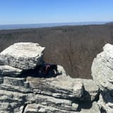Strickler Knob Trail, Virginia - 512 Reviews, Map | AllTrails