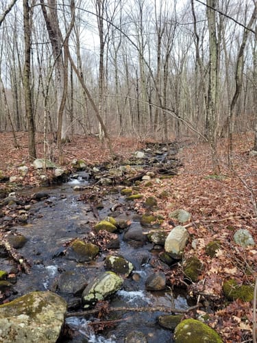 Best Hikes and Trails in Blackledge Falls Town Park | AllTrails