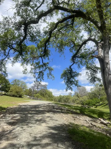 Best Hikes and Trails in Pardee Recreation Area | AllTrails