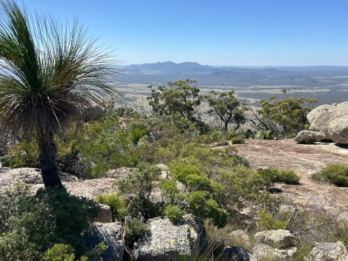 Best Hikes and Trails in Mount Walsh National Park | AllTrails