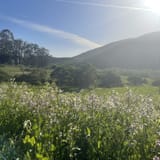 Gerbode Valley Loop, California - 441 Reviews, Map | AllTrails