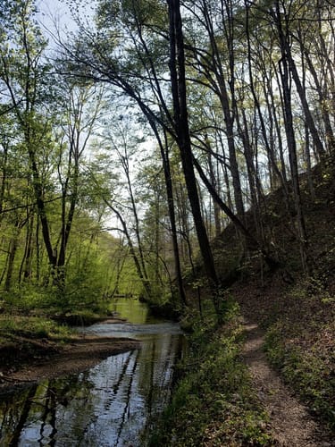 2023 Best trails in Standing Stone State Park | AllTrails