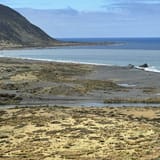 Baring Head Loop, Wellington, New Zealand - 64 Reviews, Map | AllTrails