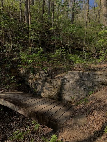 2023 Best trails in Standing Stone State Park | AllTrails