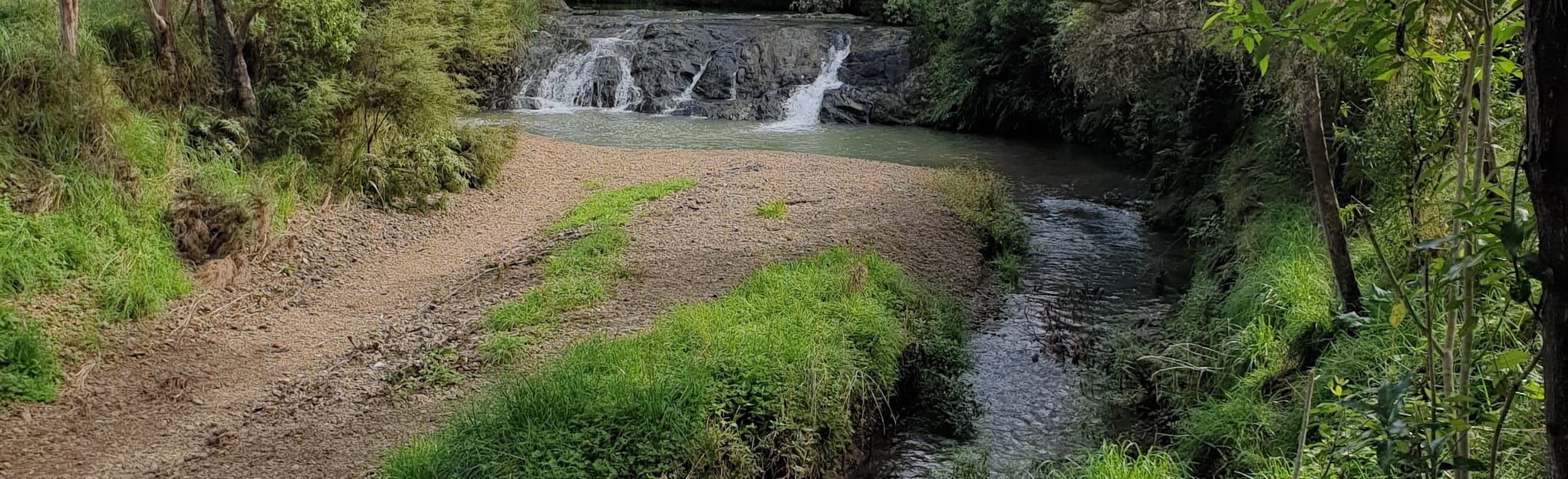 KaraKariki Falls Track, Waikato, New Zealand - 35 Reviews, Map | AllTrails