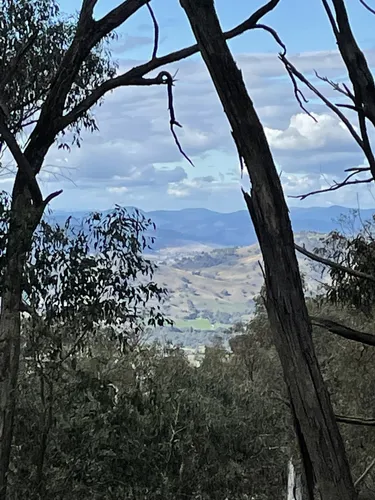 2023 Best Trails, Walks, and Paths in Leneva | AllTrails