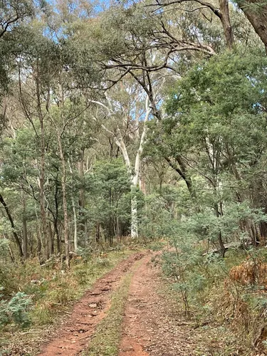 2023 Best Trails, Walks, and Paths in Leneva | AllTrails