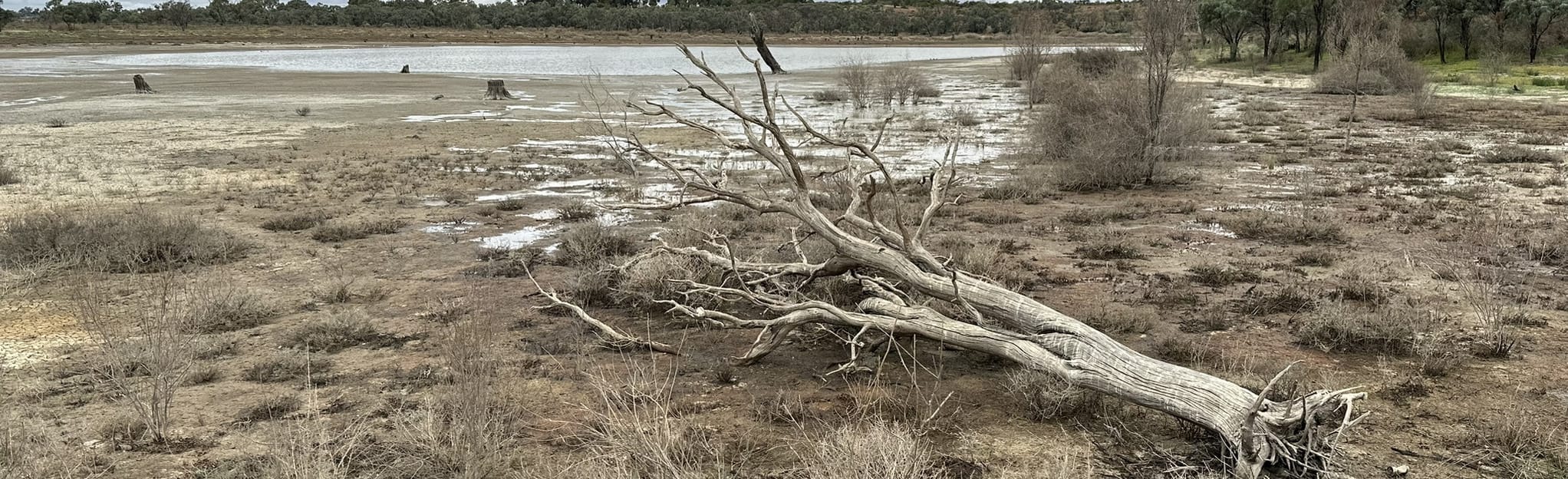 Merbein Common Archaeological Walk, Victoria, Australia - 5 Reviews ...