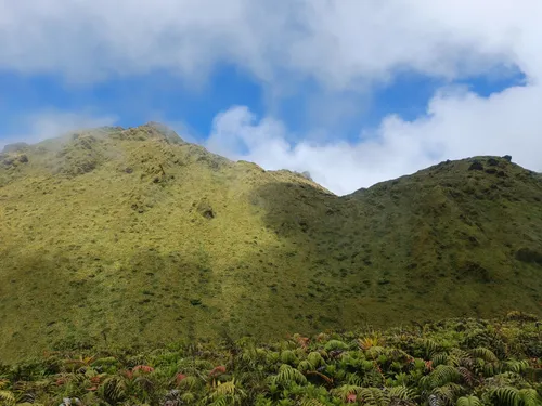 2023 Best Trails, Walks, and Paths in L'Ajoupa-Bouillon | AllTrails