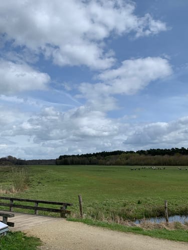 2023 Best Historic Site Trails in Schinnen | AllTrails