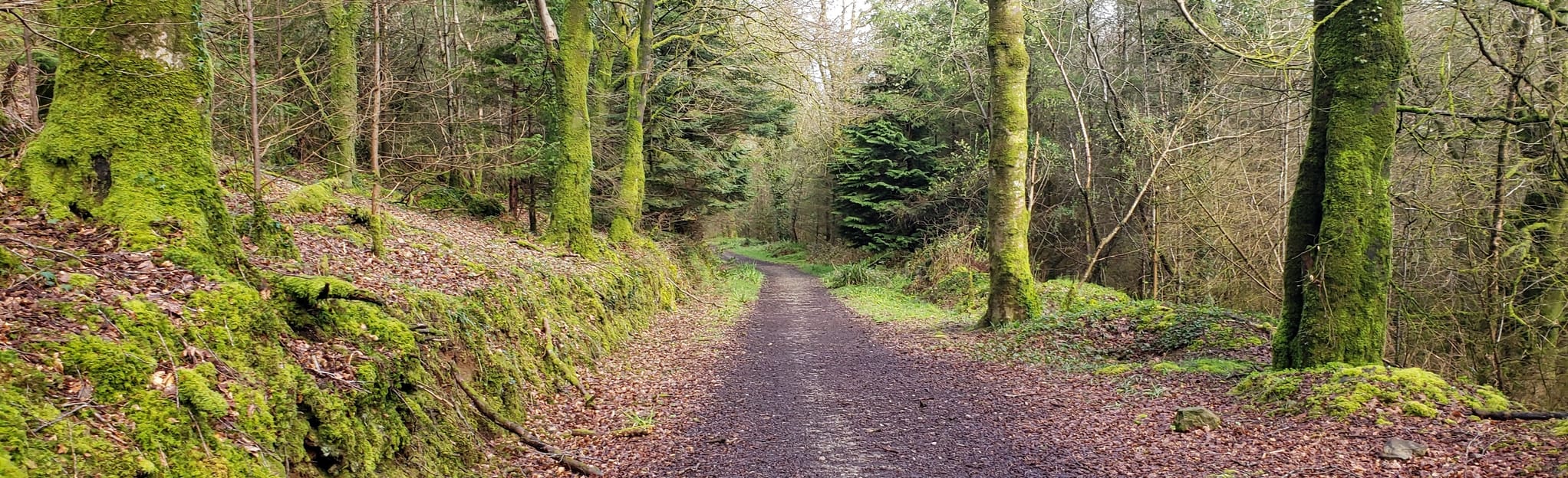 Flurry River Loop, County Louth, Ireland - 14 Reviews, Map | AllTrails