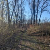 Mountain Tea State Forest Cabin and Pond, Indiana - 189 Reviews, Map ...