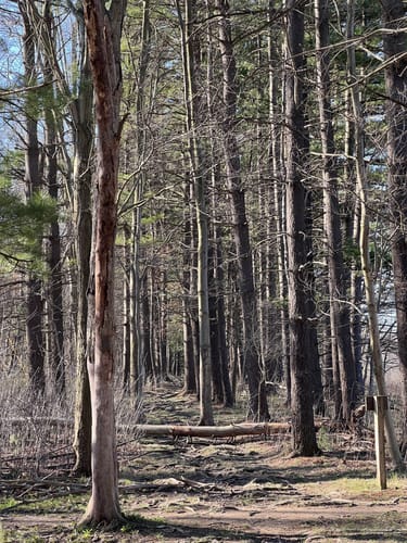 Best Hikes and Trails in Deep Lock Quarry Metro Park | AllTrails