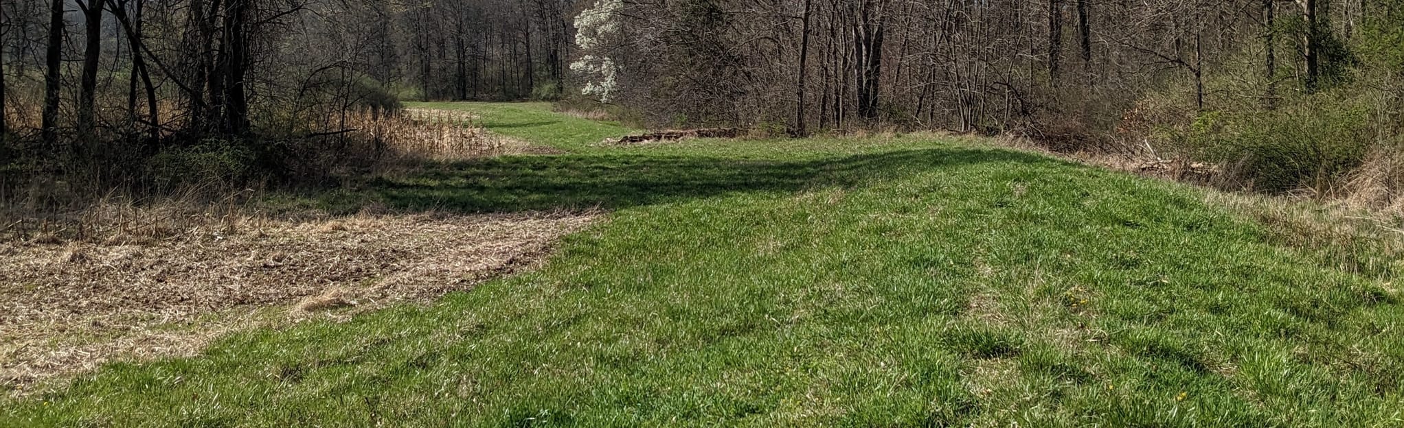 Deer Ridge Loop: 4 Reviews, Map - Missouri | AllTrails