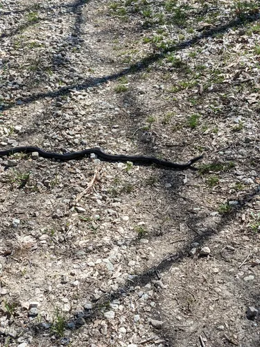 Best Hikes and Trails in Deer Ridge Conservation Area | AllTrails