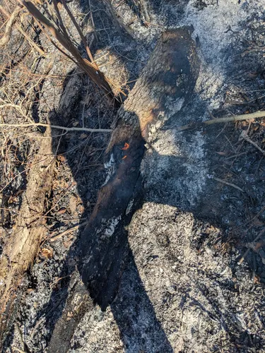 Best Hikes and Trails in Deer Ridge Conservation Area | AllTrails