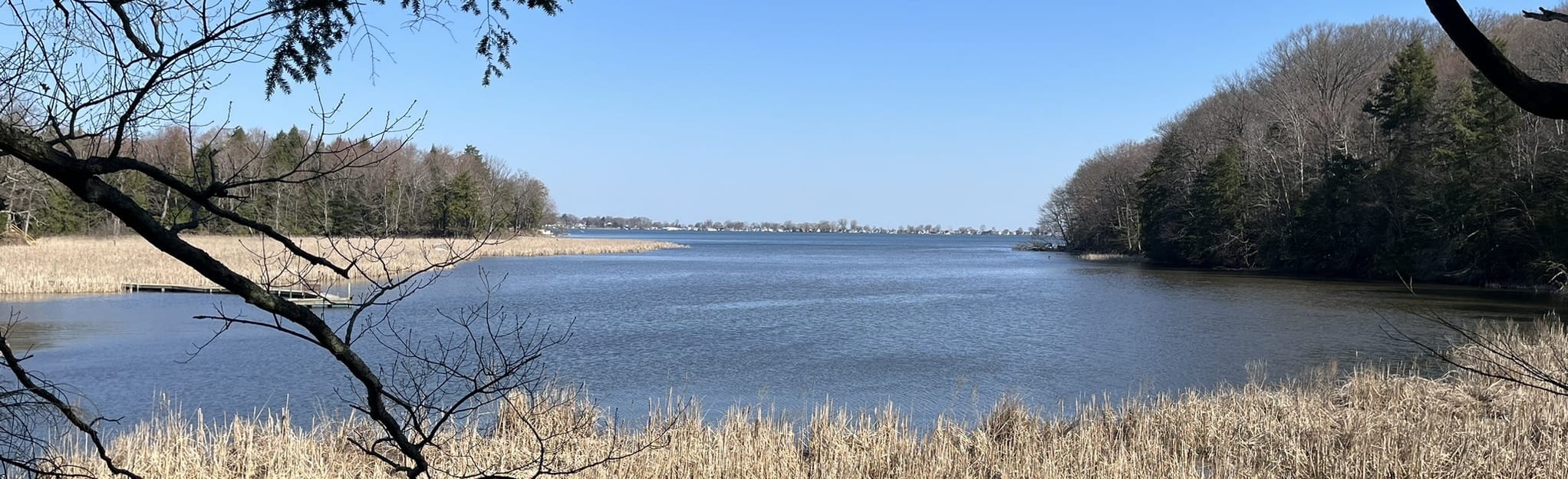 Bentley Bond's Trail, New York - 67 Reviews, Map | AllTrails