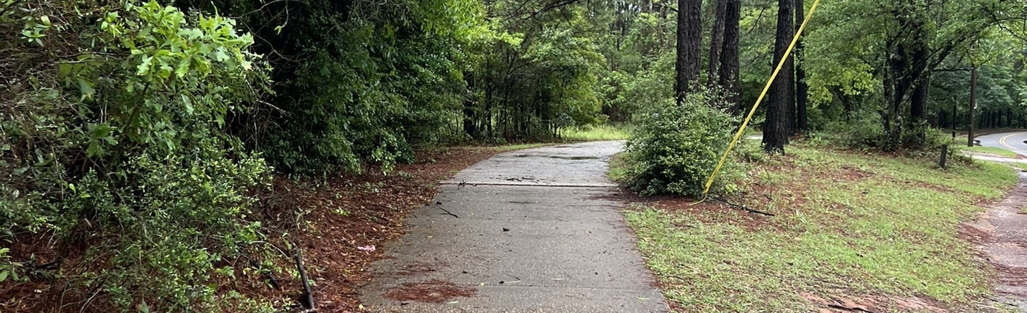 Cottage Hill Park Loop, Alabama - 105 Reviews, Map | AllTrails