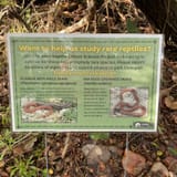 Wild Tamarind Trail, Florida - 230 Reviews, Map | AllTrails