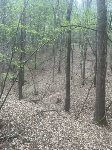 Best Hikes and Trails in Knight Brown Nature Preserve | AllTrails