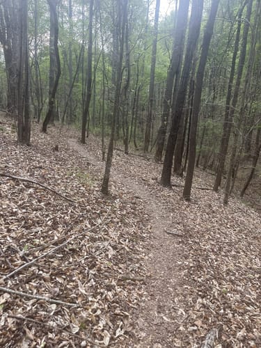 Best Hikes and Trails in Knight Brown Nature Preserve | AllTrails