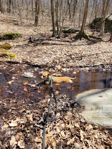 Best Hikes and Trails in Parmelee Farm | AllTrails